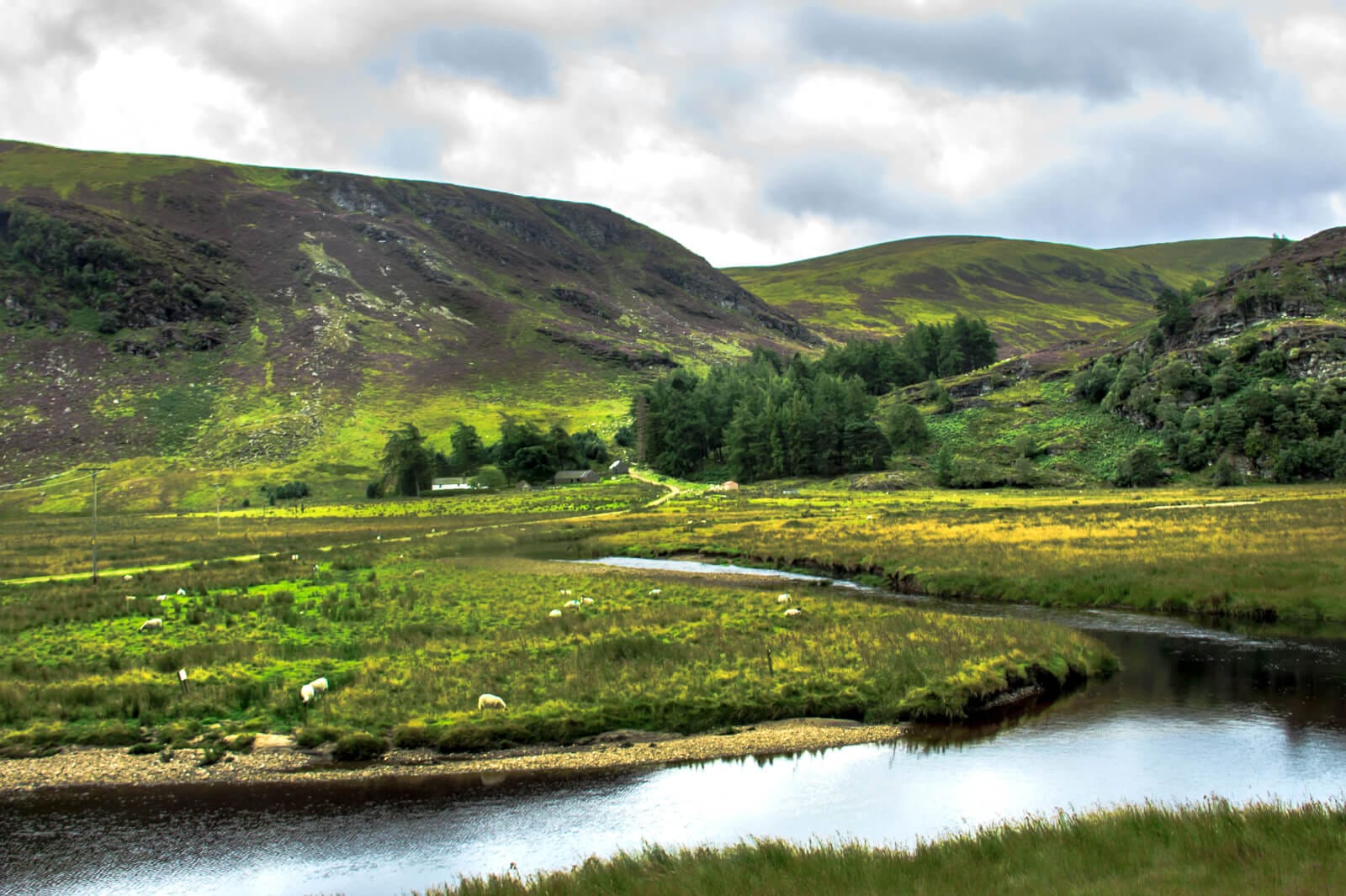 The Cateran Trail - Auchavan Estate